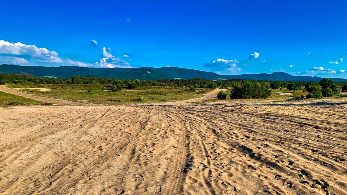 Slovenská Sahara alebo Šranecké piesky - NaZáhorí.sk